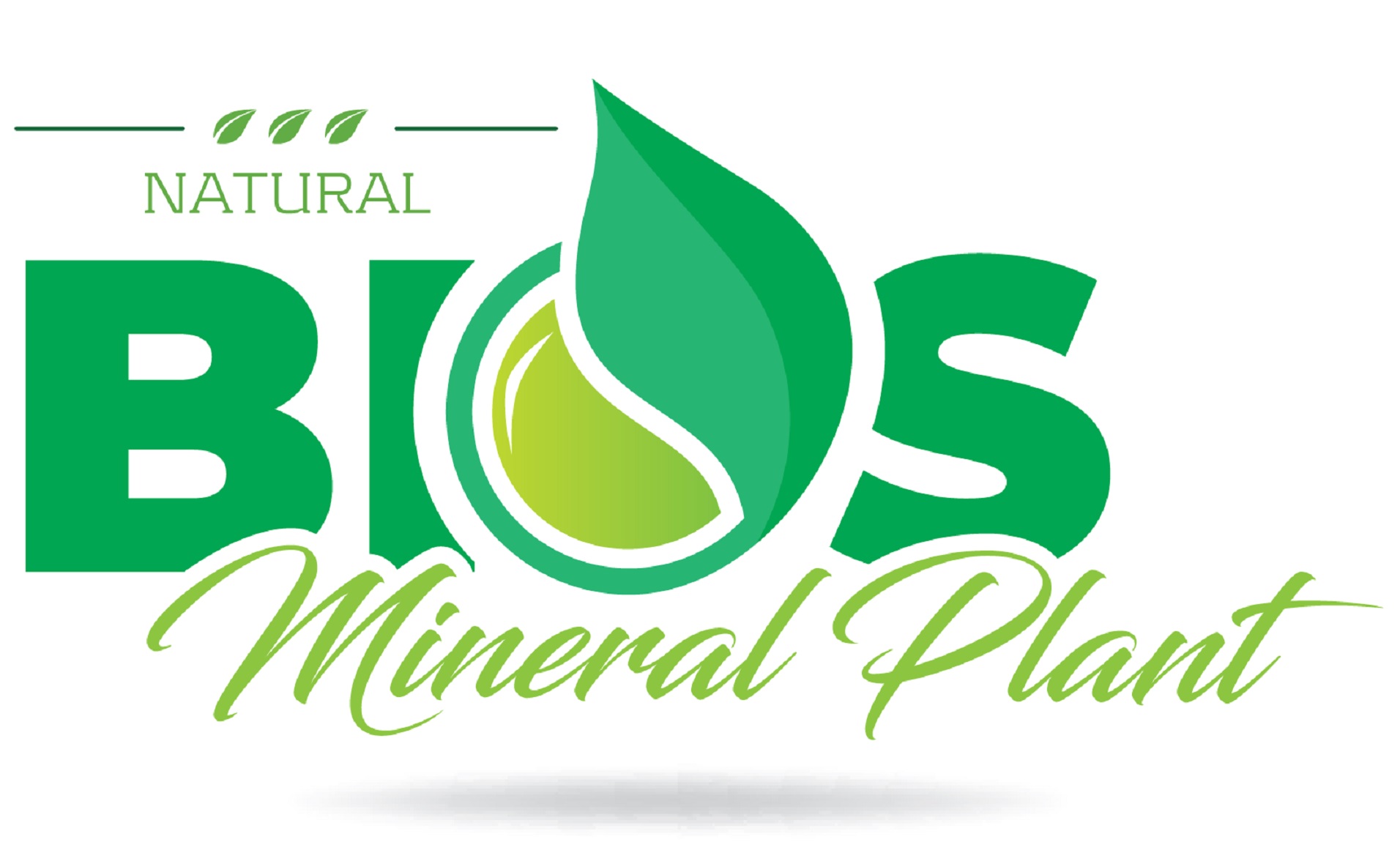 Contact ⋆ Bios Mineral Plant